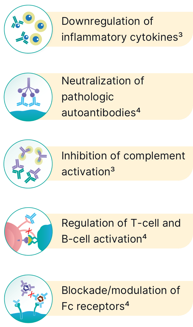 IVIG & Inflammation | CIDP Treatment | GAMUNEX®-C HCP